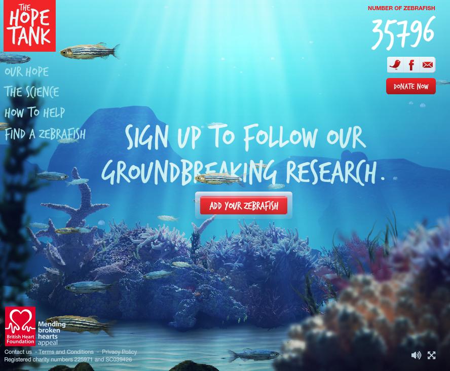 PORTFOLIO – Mary Weatherburn